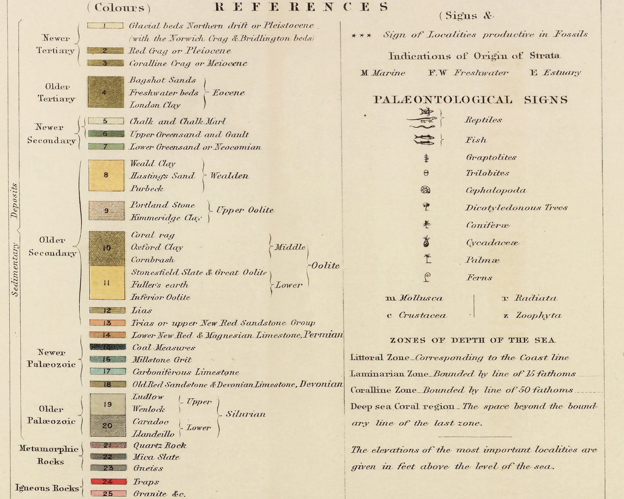 GEOLOGICAL & PALAEONTOLOGICAL W and A Johnston Fossils Dinosaurs ...